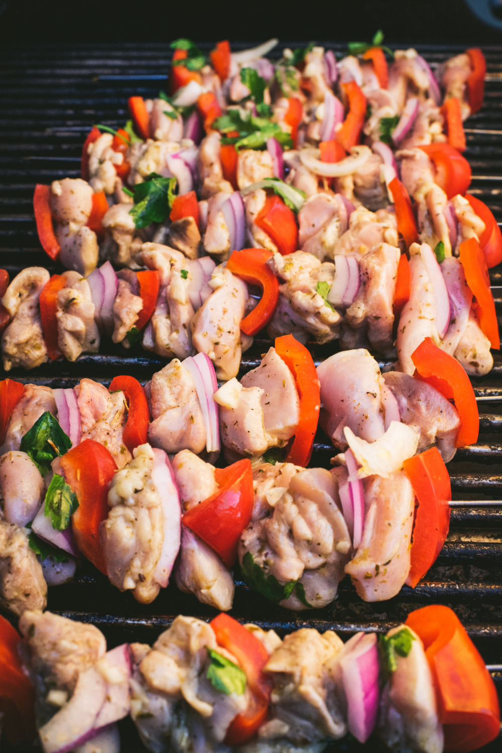 Mediterranean Chicken Kebabs with Lemon Aioli (7 of 8) (7 of 1) | Ciao ...
